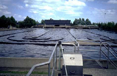 Sludge GIF - Find & Share on GIPHY