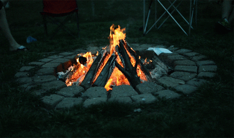 Campfire GIF - Find & Share on GIPHY