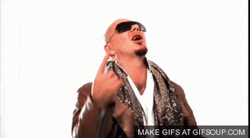Pitbull GIF - Find & Share on GIPHY