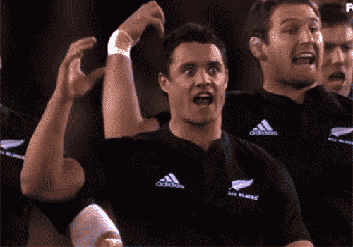 Funny Haka Memes