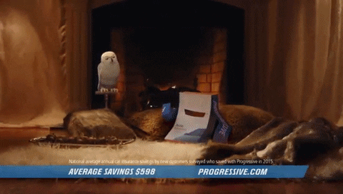 - Find & Share on GIPHY