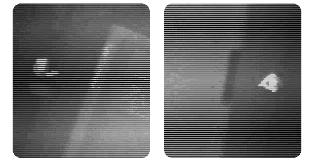 Playtime GIF - Find & Share on GIPHY