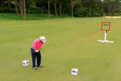 Golf GIF - Find & Share on GIPHY