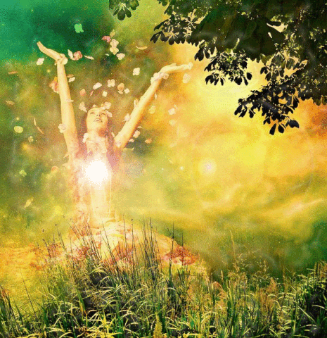 The Tree Of Life GIF - Find & Share on GIPHY