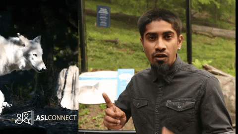 American Sign Language Wolf GIF by ASL Connect - Find & Share on GIPHY