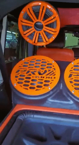 PRV Audio GIF - Find & Share on GIPHY