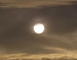 Reflection GIF - Find & Share on GIPHY