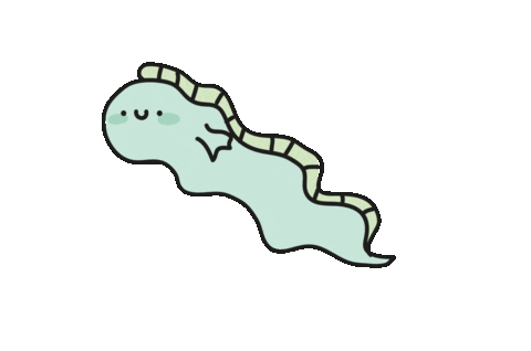 TeaBag GIFs - Find & Share on GIPHY