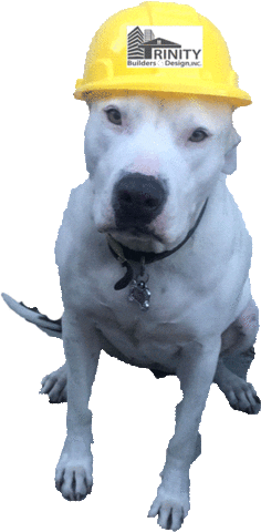 Dog Construction Sticker by Trinity Builders & Design, Inc. for iOS ...