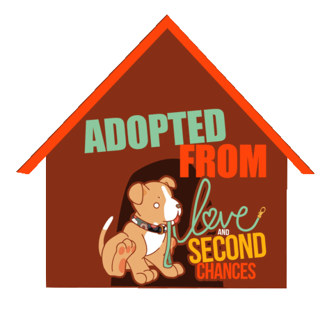 Dog Adopt Sticker by lovesecondchances for iOS & Android | GIPHY