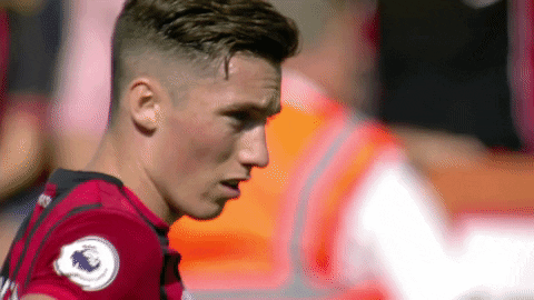 Football Soccer GIF by AFC Bournemouth - Find & Share on GIPHY
