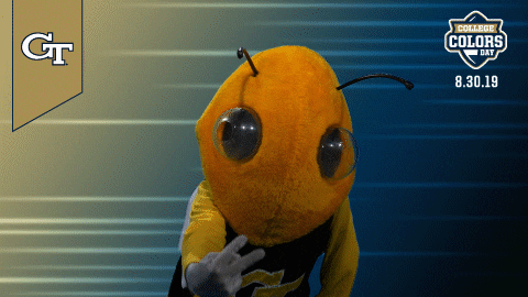 College Sports Mascots GIF by College Colors Day - Find & Share on GIPHY