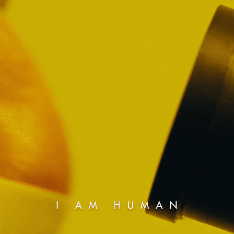 Tribeca Film Festival Technology GIF by 1091 - Find & Share on GIPHY