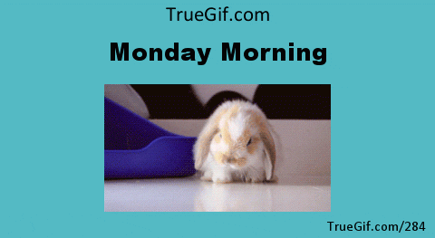 Monday Morning GIFs - Find & Share on GIPHY