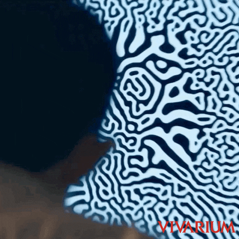 GIF by Vertigo Releasing - Find & Share on GIPHY