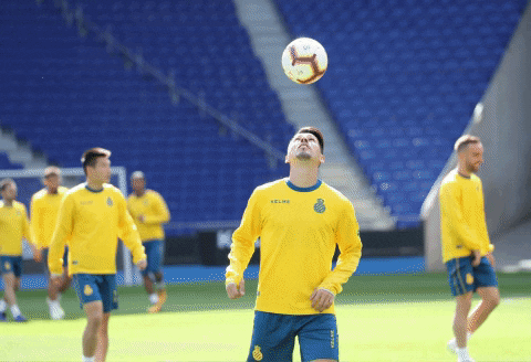 RCD Espanyol de Barcelona GIFs - Find & Share on GIPHY