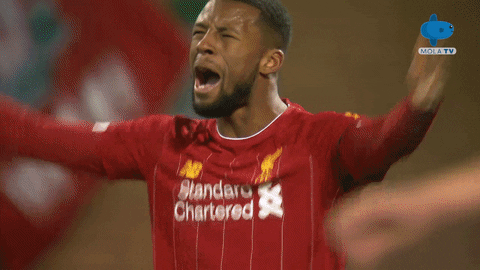 Celebration Reaction GIF by MolaTV - Find & Share on GIPHY