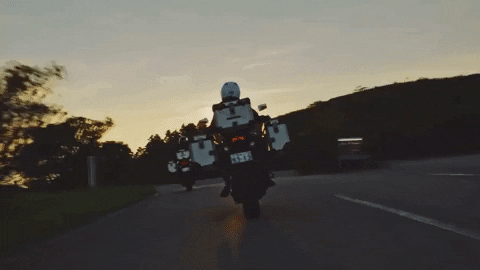 Ride GIF by Harley-Davidson - Find & Share on GIPHY