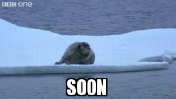 Soon GIF - Find & Share on GIPHY
