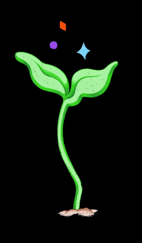 Sparkle Plants GIF - Find & Share on GIPHY