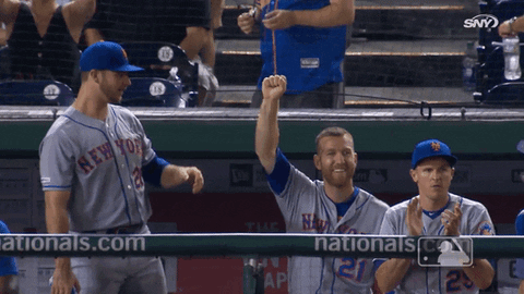 New Jersey Sport GIF by New York Mets - Find & Share on GIPHY