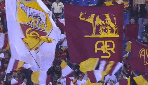 Curva Sud Football GIF by AS Roma - Find & Share on GIPHY