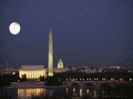 Washington Dc GIF - Find & Share on GIPHY