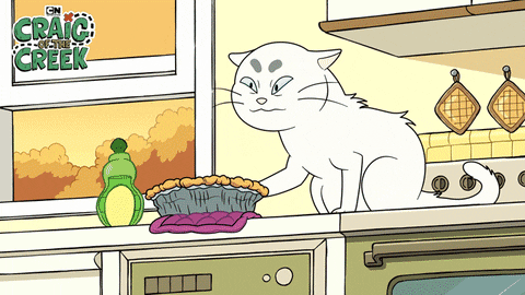 Craig Of The Creek Cat GIF by Cartoon Network - Find & Share on GIPHY