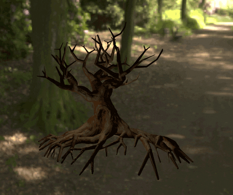 Tree GIF - Find & Share on GIPHY