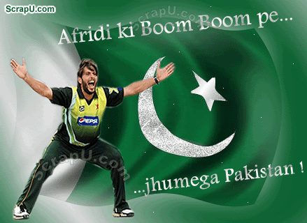 Cricket GIF - Find & Share on GIPHY