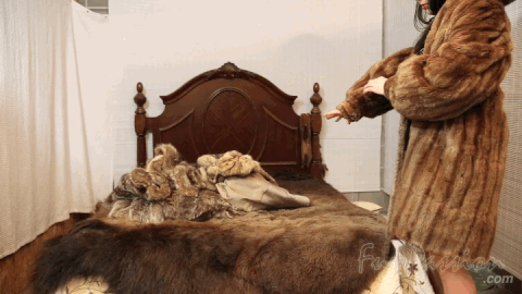 Fur GIF - Find & Share on GIPHY