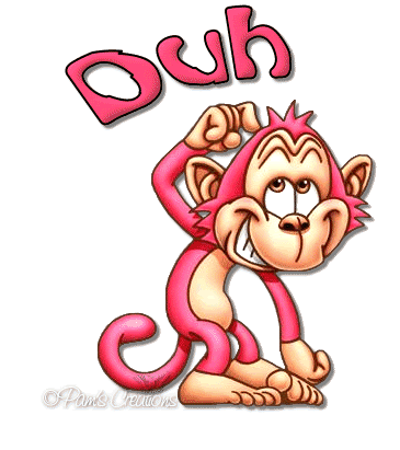 Duh GIFs - Find & Share on GIPHY