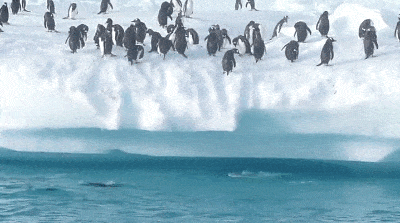 Selection Warming GIF - Find & Share on GIPHY