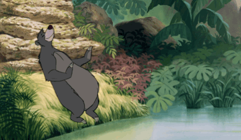 Baloo GIF - Find & Share on GIPHY