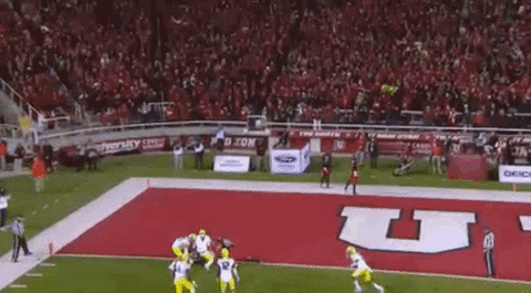 Goal Line GIF - Find & Share on GIPHY