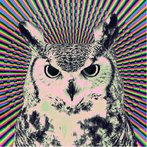 Trippy Owl GIFs - Find & Share on GIPHY
