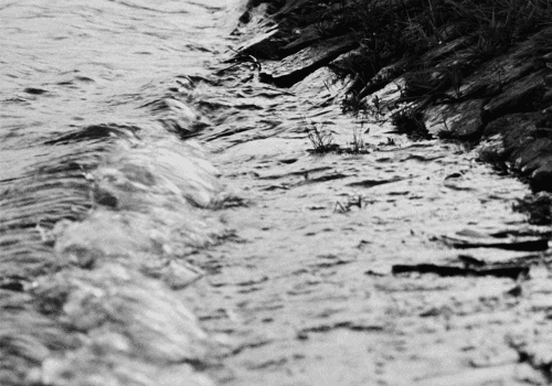 Vera Chytilova Shore GIF by Maudit - Find & Share on GIPHY