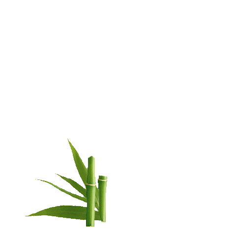 Bamboo Feelstronger Sticker by Yves Rocher for iOS & Android | GIPHY