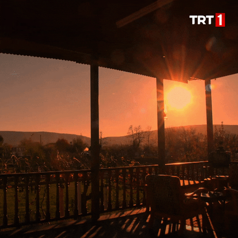 Kalkgidelim Gunes GIF by TRT - Find & Share on GIPHY