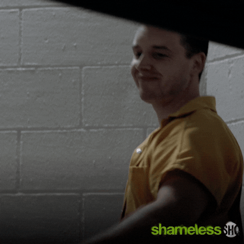 Episode 2 Showtime GIF by Shameless - Find & Share on GIPHY