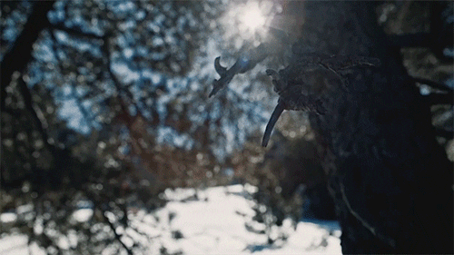 Glacier 3000 GIF - Find & Share on GIPHY