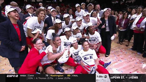 Wnba Playoffs GIF by WNBA - Find & Share on GIPHY