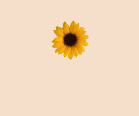 Let's Sweet Talk GIF - Find & Share on GIPHY