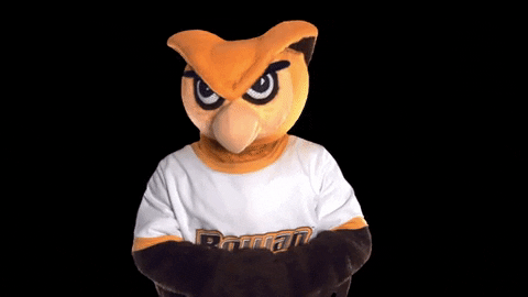 Ncaa Mascot GIF by Rowan University - Find & Share on GIPHY