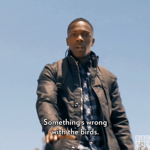 Doctor Who Television GIF by BBC America - Find & Share on GIPHY