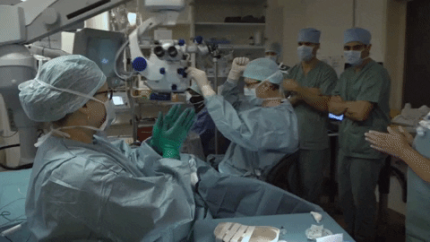 VIER GIF - Find & Share on GIPHY