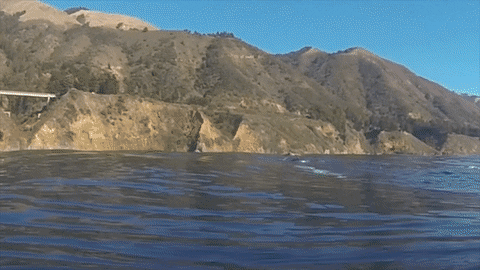 GIF by University of California - Find & Share on GIPHY