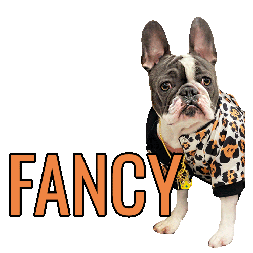 Dog Fancy Sticker for iOS & Android | GIPHY