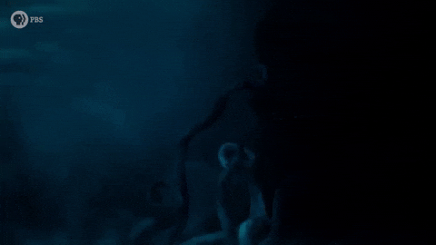 Sea Monster GIF by PBS Digital Studios - Find & Share on GIPHY