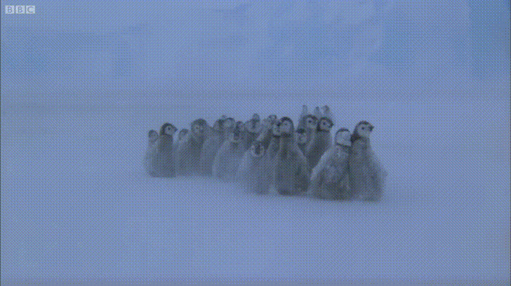 Soooo GIFs - Find & Share on GIPHY